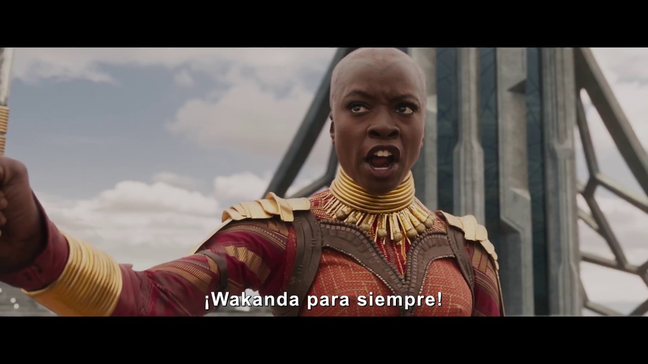 Los Personajes de Pantera Negra • Cinergetica